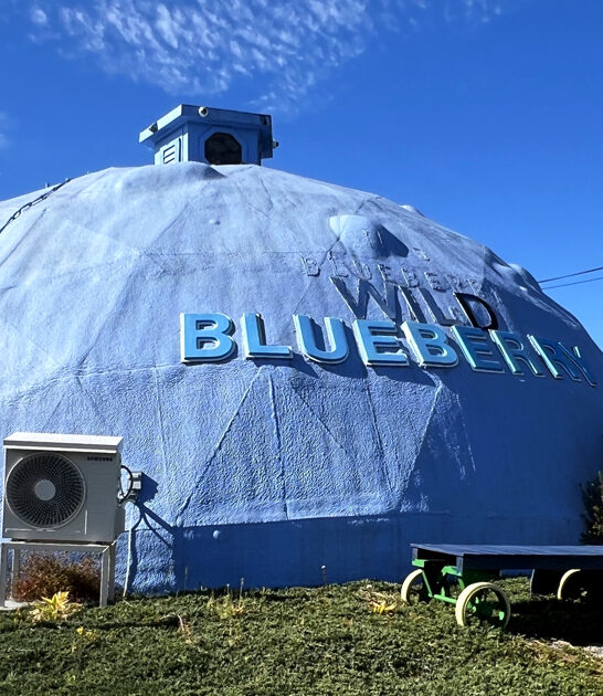 tiny blueberry museum maine ftr