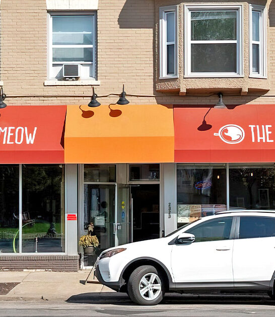 tiny cat cafe minnesota ftr