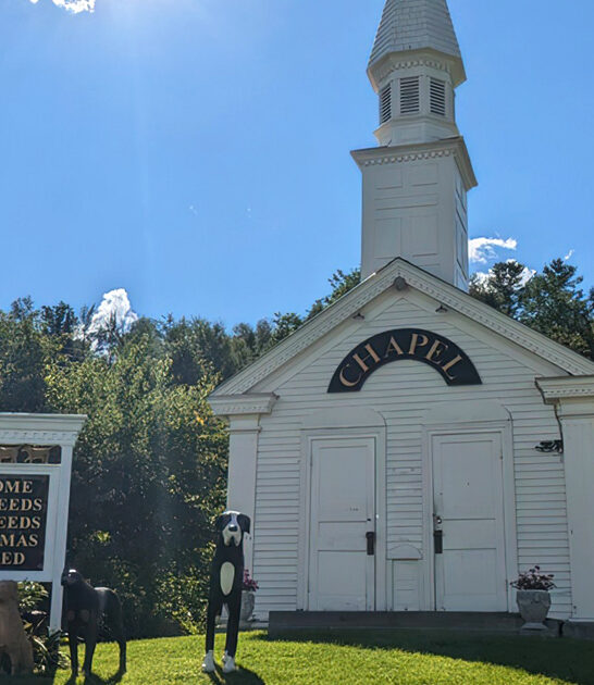 tiny dog chapel vermont ftr