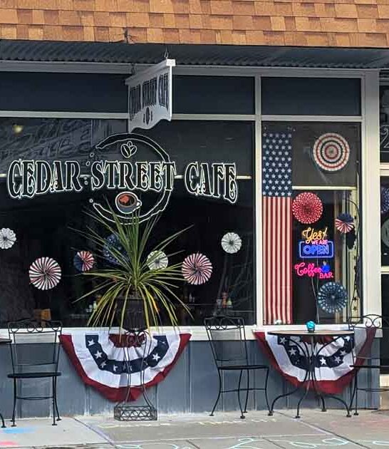 tiny mighty cafe michigan ftr