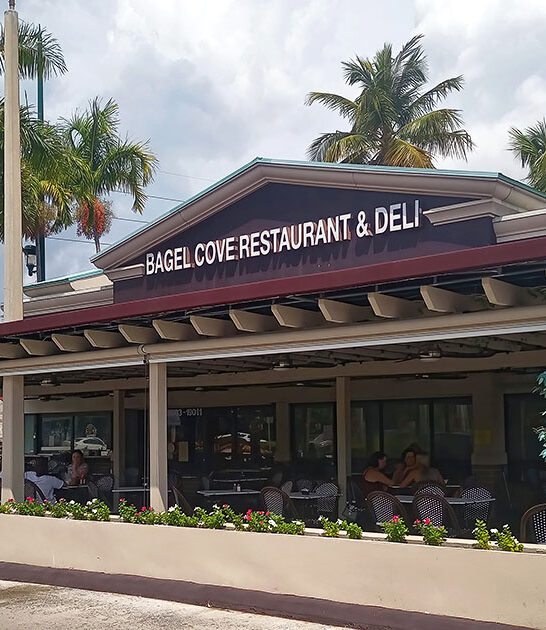 top french toasts florida ftr