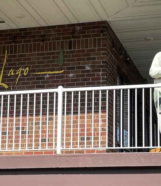 top ribeye steak minnesota ftr