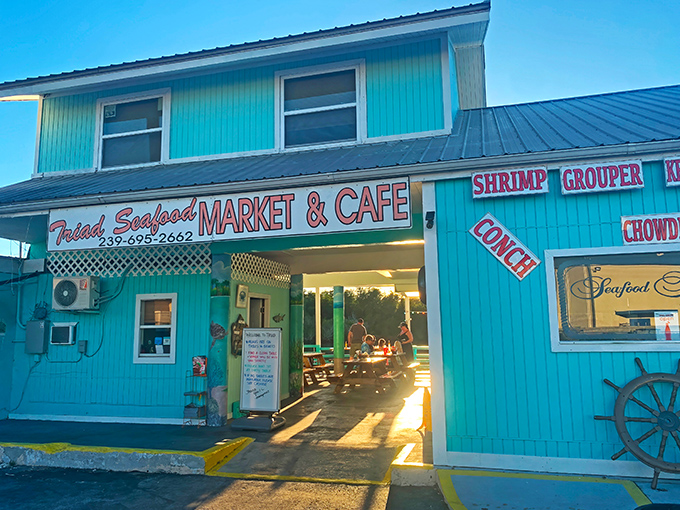 triad seafood cafe 1