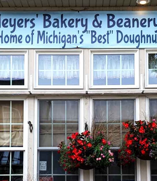 unassuming bakeshop donuts michigan ftr