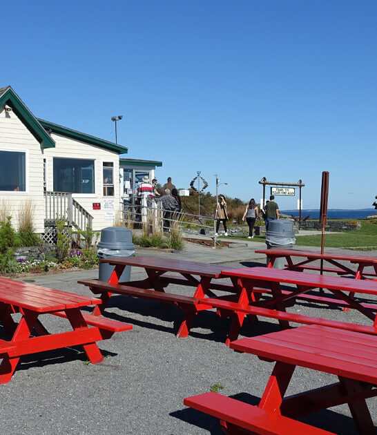 unassuming seafood shack maine ftr