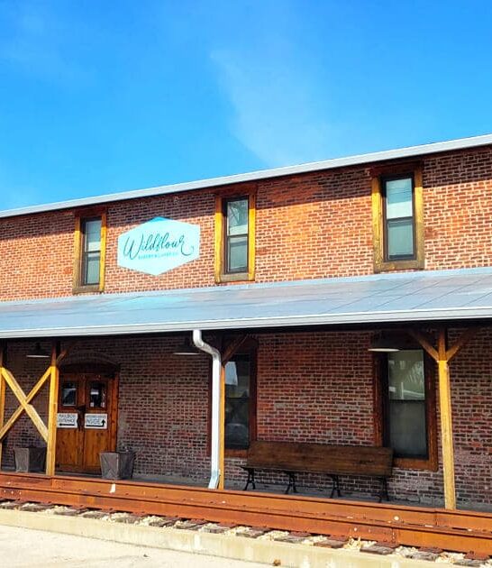 underrated bakery cupcakes illinois ftr