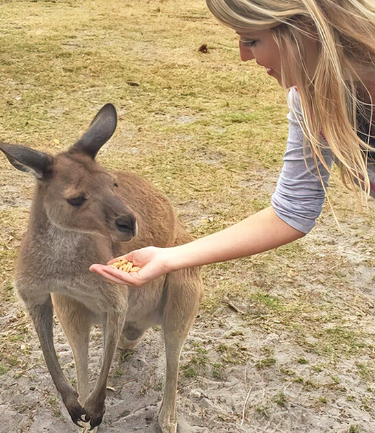 unique ranch florida ftr
