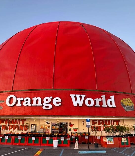 unusual florida gift shop ftr