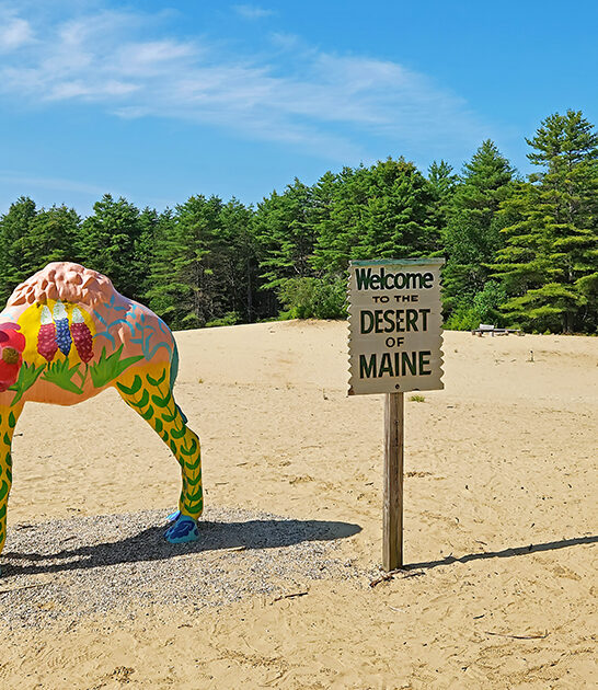 weird desert maine ftr