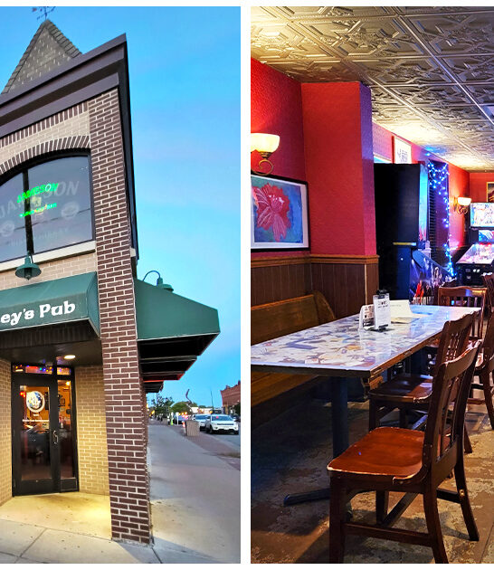 wisconsin-delicious-chicken-wings ftr