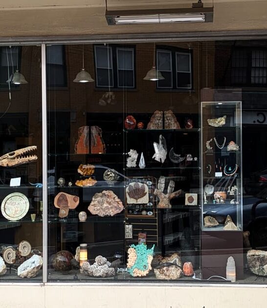 wonderfully weird illinois museums ftr