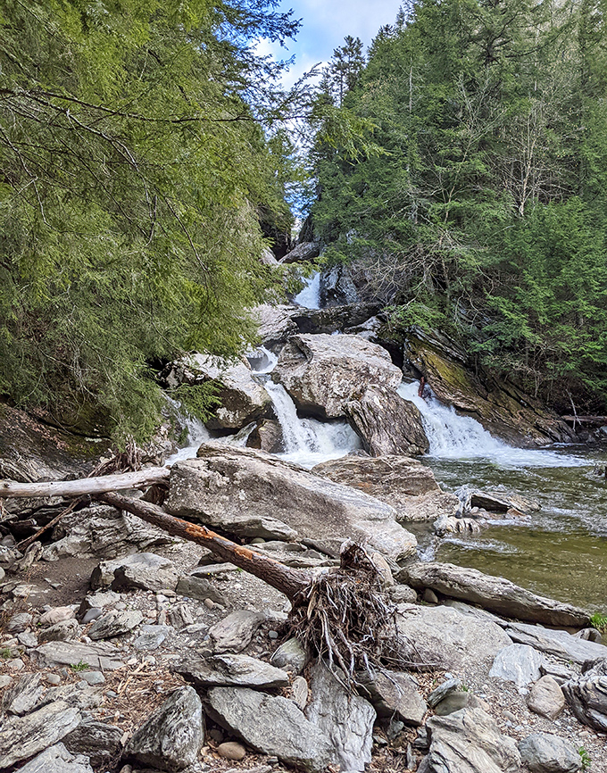 Brewster River Gorge: Nature's own water park where ancient rocks meet rushing water, creating a playground that makes expensive resorts seem utterly pointless.