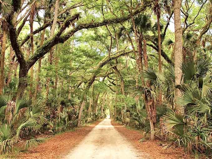 A cathedral of moss-draped oaks creates nature's perfect welcome mat at Bulow Plantation Ruins Historic State Park.