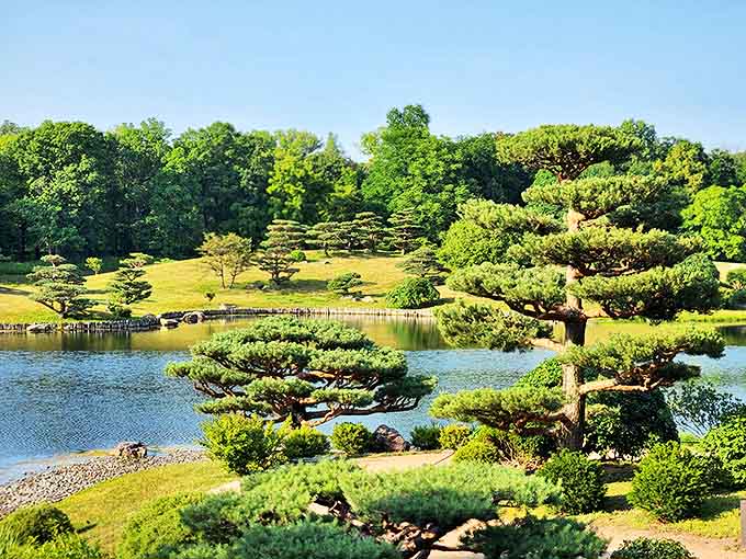 Nature's masterpiece unfolds at the Chicago Botanic Garden, where meticulously shaped pines create living sculptures around a serene lake.