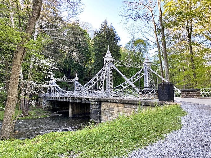 The Cinderella Bridge stands like a silver crown jewel in Mill Creek Park, its elegant towers reaching skyward as if from a storybook illustration.