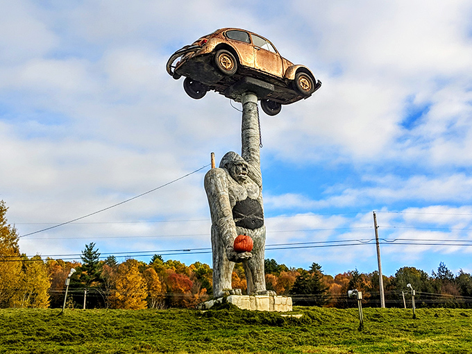 King Kong's country cousin makes a bold statement along Route 7, proving Vermont has a sense of humor bigger than its mountains.