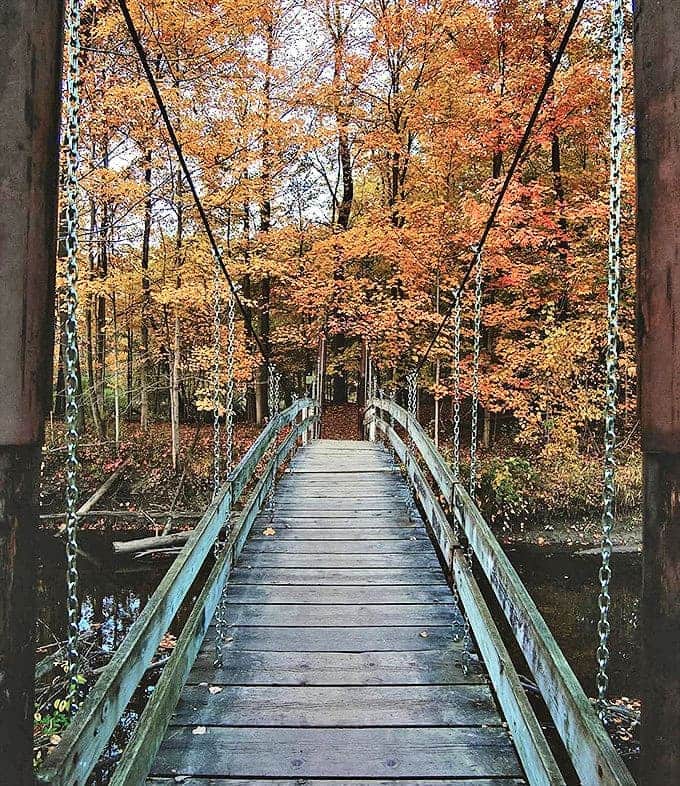 A suspension bridge beckons through a tunnel of autumn glory, where fiery maples create nature's most spectacular light show.