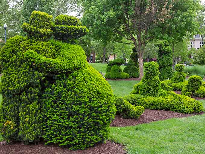 These aren't your neighbor's overgrown hedges, these are masterpieces of horticultural artistry that would make Edward Scissorhands weep with joy.