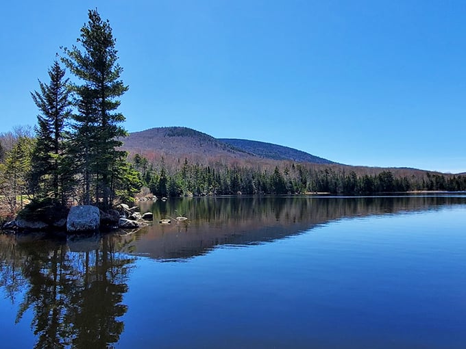 Nature's mirror: Seyon Lodge's pristine lake reflects towering evergreens and mountain slopes, creating a double dose of Vermont splendor.