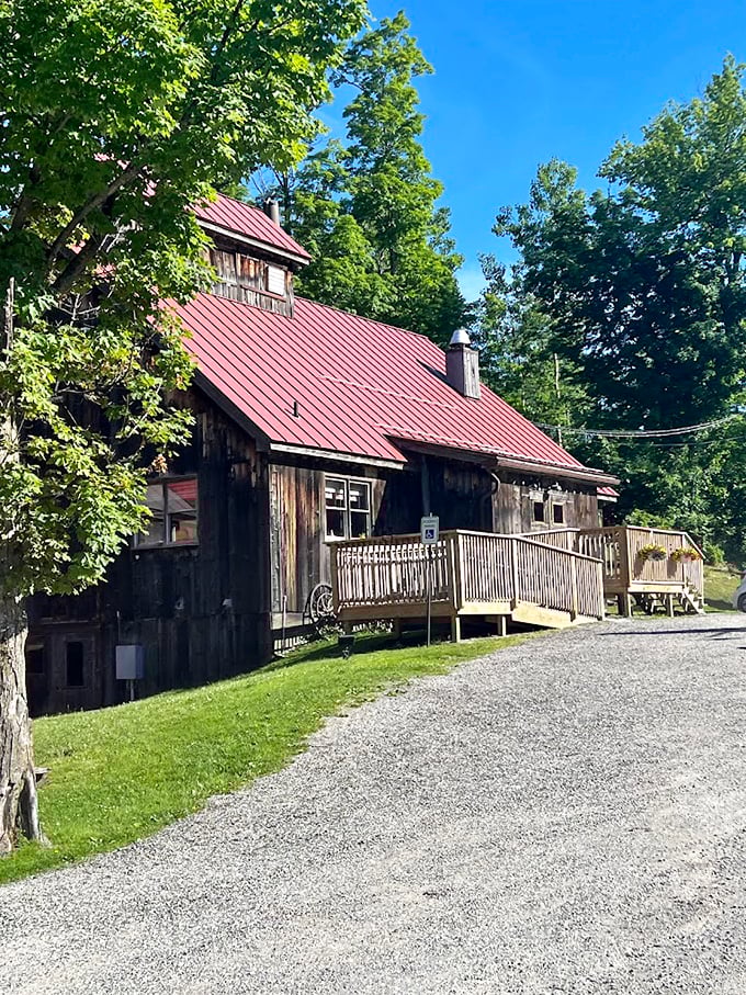 Welcome to pancake paradise! This charming red-roofed cabin is where maple dreams come true.