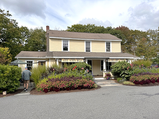 A charming yellow farmhouse transformed into bread paradise &ndash; Beach Pea Baking Co. welcomes visitors with colorful gardens and irresistible aromas.