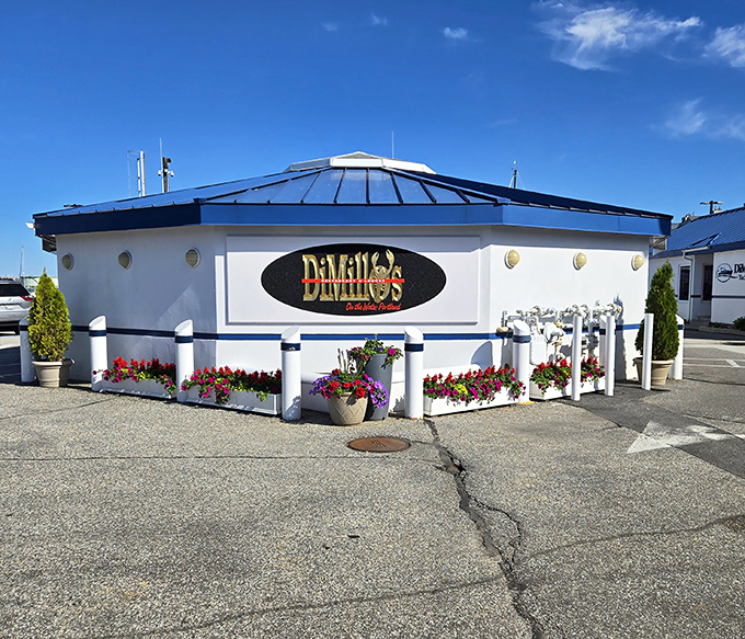 DiMillo's distinctive white and blue exterior stands like a culinary lighthouse in Portland Harbor, promising seafood treasures within.