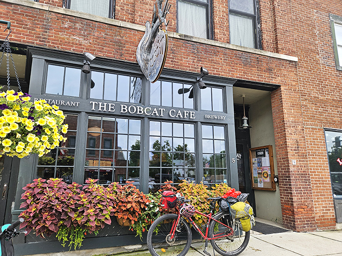 The Bobcat Caf&eacute;'s brick fa&ccedil;ade welcomes visitors with vibrant flower boxes and that iconic metal bobcat sign &ndash; Bristol's worst-kept delicious secret.