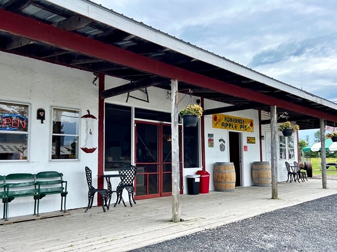 Step right up to the carnival of flavors! This playground-meets-farm stand is where childhood dreams and adult cravings collide in delicious harmony.