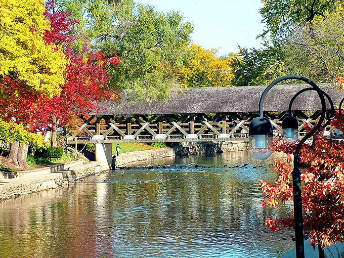 A symphony of autumn colors frames this charming covered bridge. Nature's own masterpiece, inviting you to step into a world of golden serenity.