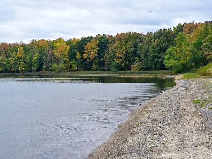 Where Lake Champlain meets untamed wilderness&mdash;a pristine shoreline that makes you forget your phone exists.