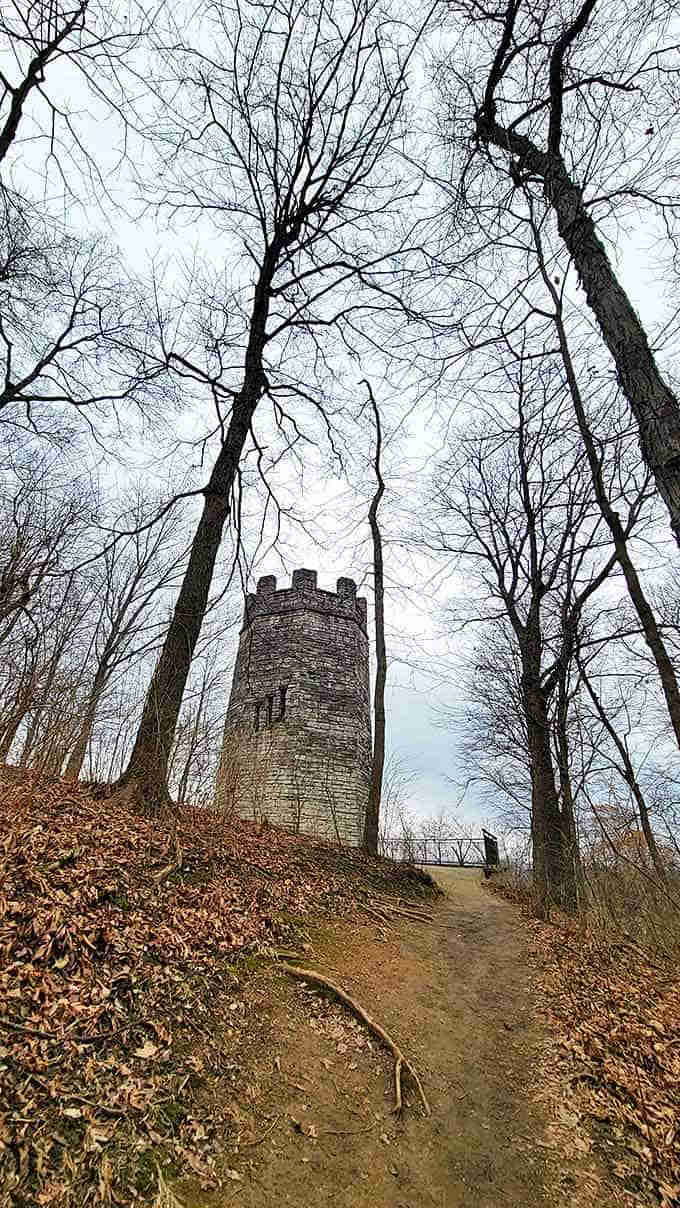 Stone sentinel rising from autumn leaves, this mysterious tower beckons hikers with promises of panoramic views and whispered legends.