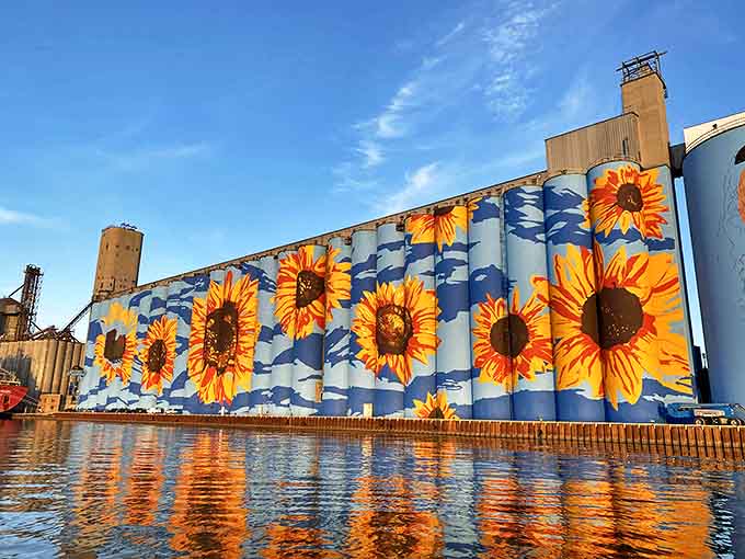 Sunflowers stretch across Toledo's skyline, transforming industrial silos into America's largest outdoor mural &ndash; a riverside masterpiece that stops traffic.