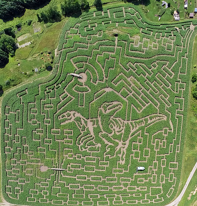 Aerial artistry at its finest! This bird's-eye view reveals the incredible design complexity that makes mere mortals question their navigational abilities below.