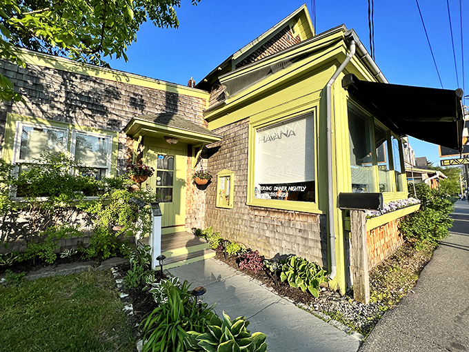 Havana's cheerful yellow exterior stands out on Bar Harbor's Main Street like a tropical postcard come to life in New England.
