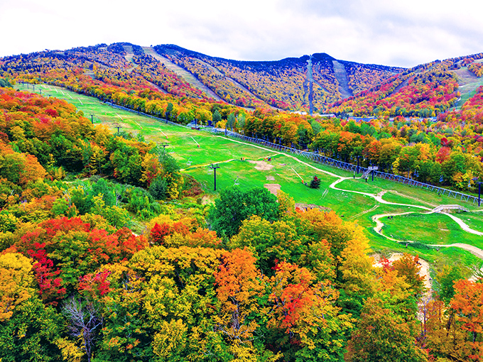 Nature's paintbrush goes wild at Killington, where fall foliage creates a technicolor backdrop for mountain adventures.