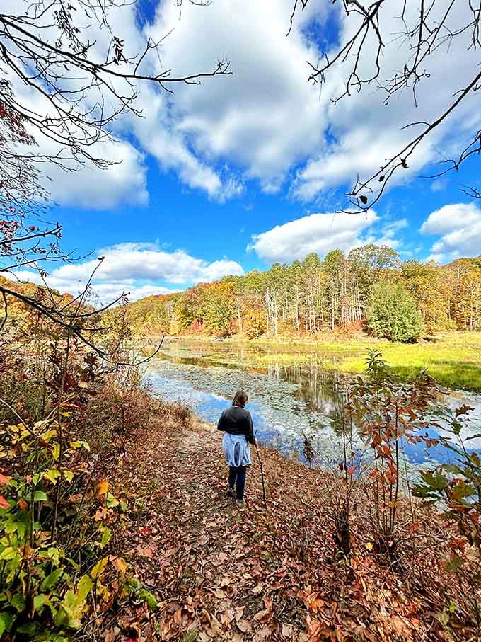 Autumn paints Lake Hope in fiery hues as nature stages its annual color festival, reflecting perfectly in the still waters.