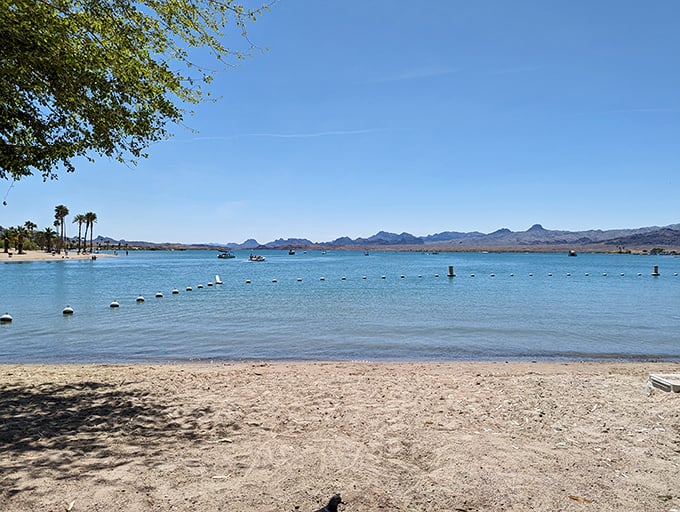 Desert meets water in perfect harmony at Lake Havasu's shoreline, where azure waves kiss golden sands.