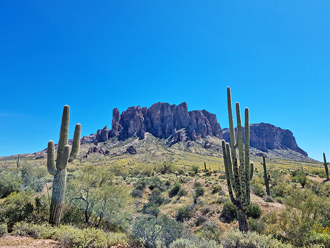 The iconic Superstition Mountains rise majestically against an impossibly blue Arizona sky, standing like nature's own monument to desert grandeur.