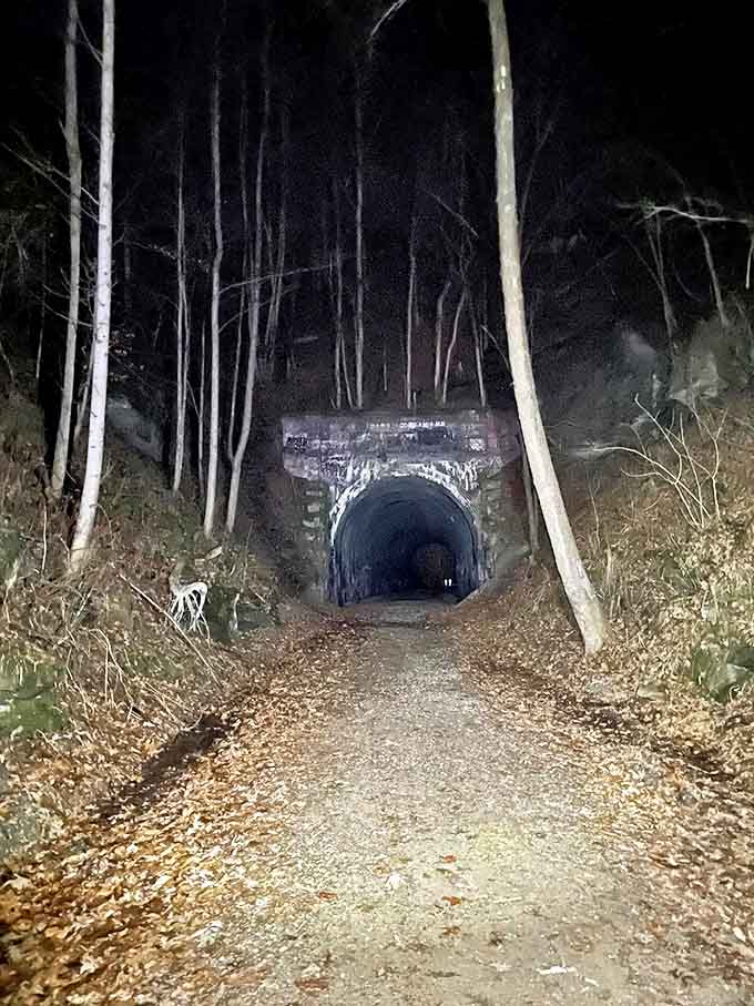 The entrance beckons like a portal to another time, framed by skeletal trees and midnight shadows.