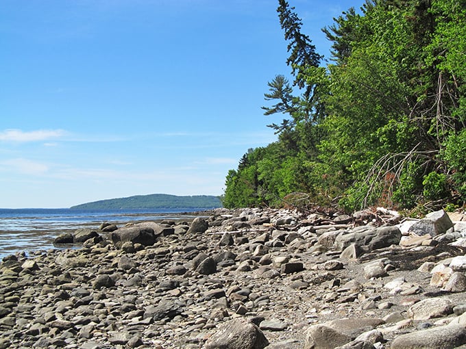 Rocky shores meet dense forest at Moose Point, where nature's artistry is on full display along Penobscot Bay's pristine coastline.