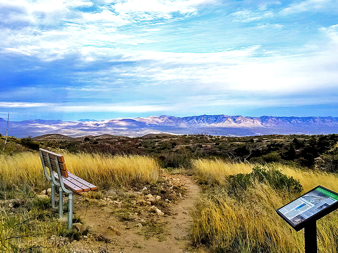 Oracle State Park: Where the Santa Catalina foothills create a natural amphitheater of beauty that changes with every passing cloud.