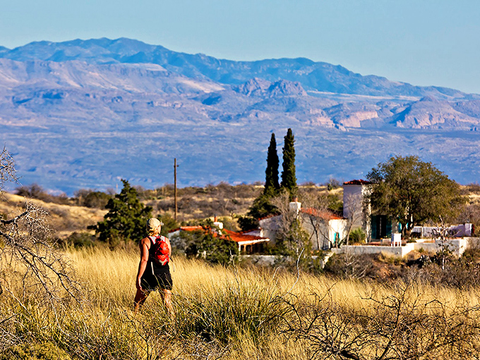 Oracle State Park: Where the rugged Catalina Mountains create a dramatic backdrop for golden grasslands &ndash; nature's perfect stage set.