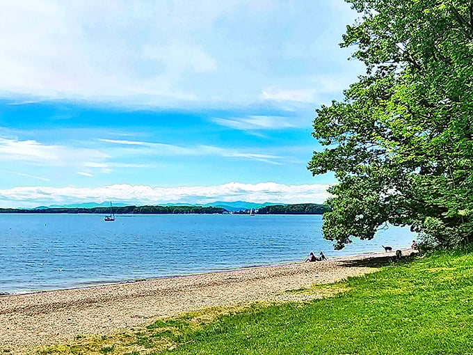 Red Rocks Park: Where Lake Champlain meets forest magic, creating a sanctuary just minutes from downtown South Burlington.