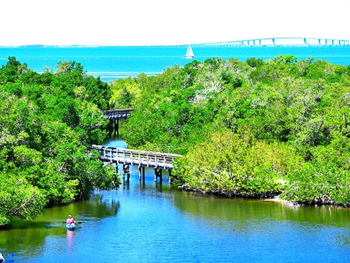 A paddler's paradise where mangroves meet azure waters &ndash; Robinson Preserve offers Florida's wild side without a single roller coaster in sight.