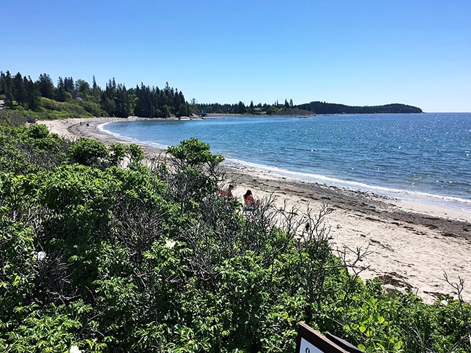 A pristine crescent of sand meets the Atlantic's blue expanse, where forest-lined shores create Maine's perfect hidden beach escape.