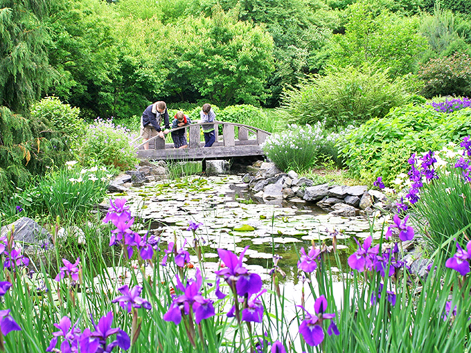 Nature's red carpet moment! This charming bridge invites you to cross into a world where every step feels like a brushstroke in a living masterpiece. 