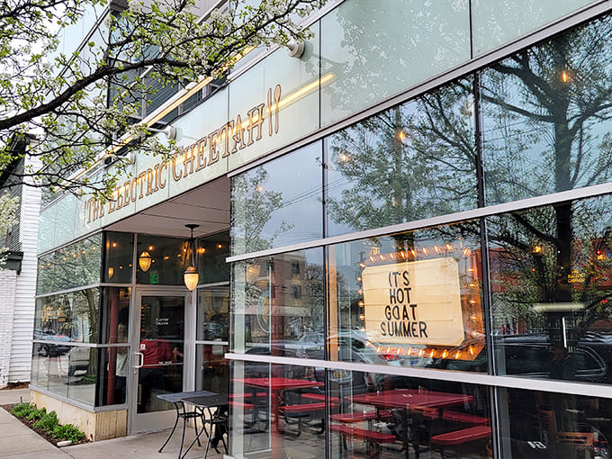 The sleek glass exterior of The Electric Cheetah beckons with golden lettering and a playful "IT'S HOT GOAT SUMMER" sign &ndash; Grand Rapids' culinary adventure begins here.