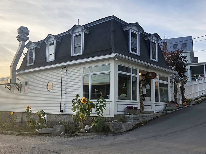 A charming white clapboard house with distinctive mansard roof, Fin & Fern welcomes diners with sunflowers standing guard at the entrance.