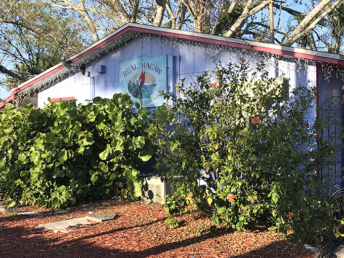 The unassuming lavender exterior of The Real Macaw hides a Caribbean culinary paradise that locals have treasured for years.