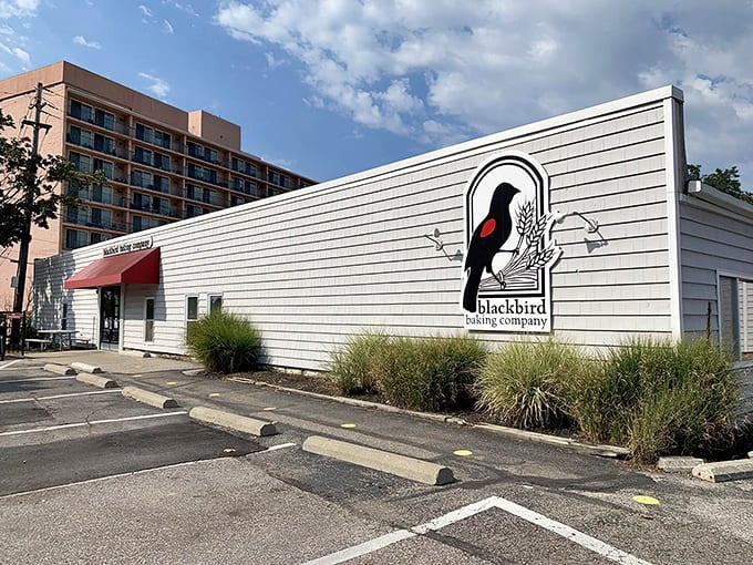 The unassuming exterior hides a treasure trove of buttery goodness that'll make your morning commute worthwhile.